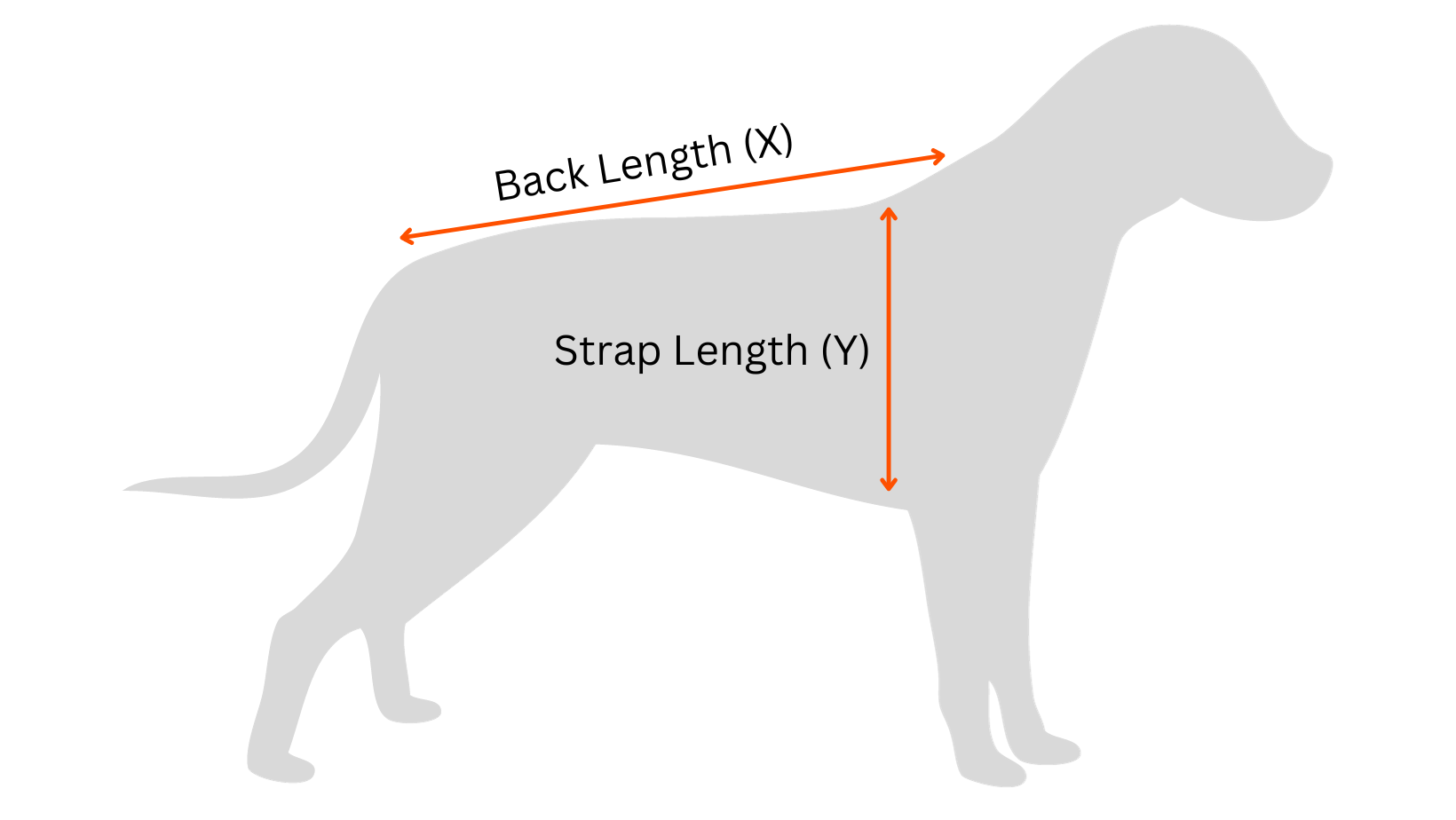 Dog Coat Size Guide | DRYBONES